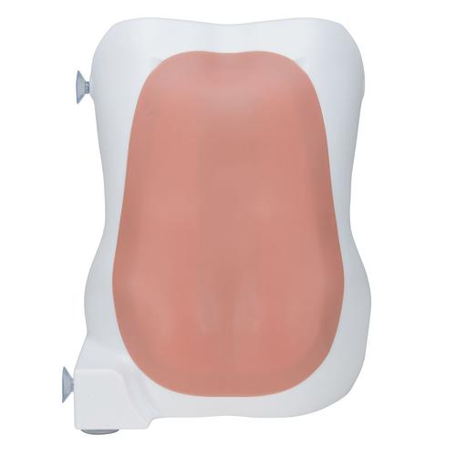 Epidural and Spinal Injection Simulator - LabWorld.co.uk